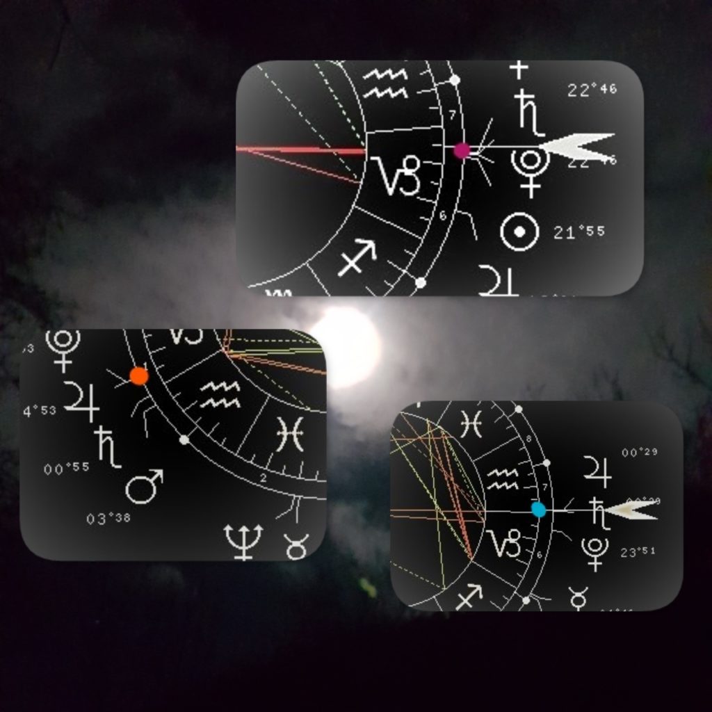 La Lunaison Bélier 2020 ~ Les fleurs de Bach avec Mirelune